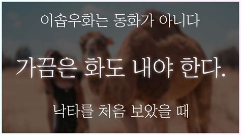 슬기로운 마음생활 인생조언 L 멘탈케어 L 긍정명언 L 인생명언 이솝이 말하다 12 가끔은 화도 내야 한다 Youtube