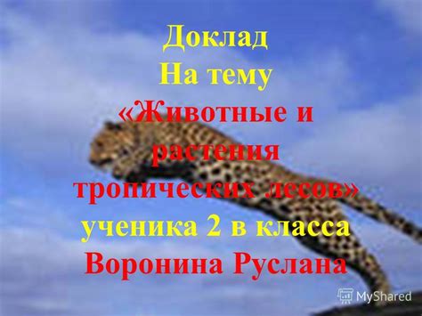 Презентация на тему Доклад На тему Животные и растения тропических