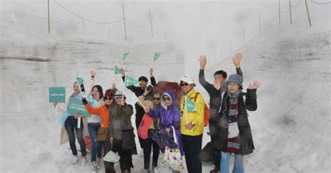 포토 한 여름에 만나는 순백의 겨울