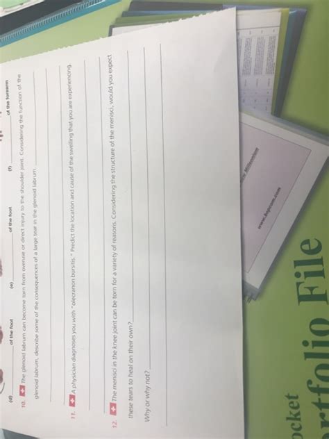 Solved Of The Foot Of The Foot 0the Glenoid Labrum Can