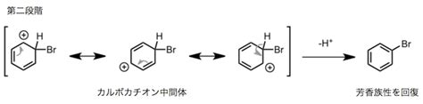 有機反応を俯瞰する ー芳香族求電子置換反応 その 1 Chem Station ケムステ