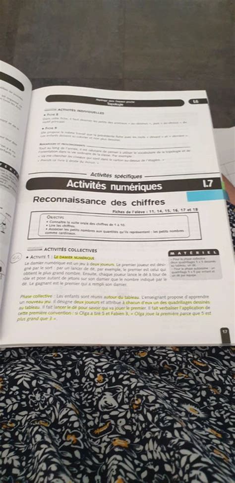 Pour comprendre les maths GS guide péda Beebs