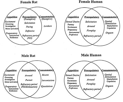 Incentive Sequences For Human And Rat Sexual Behavior Modified From