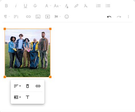 Using The Rich Text Editor Volgistics Help