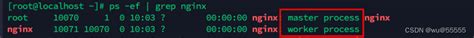 nginx快速入门：worker、master进程的作用和热部署原理（十） nginx master csdn博客