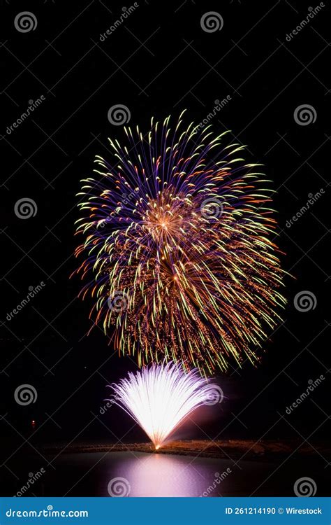 Toma Vertical De Los Coloridos Fuegos Artificiales En El Cielo Nocturno Foto De Archivo Imagen