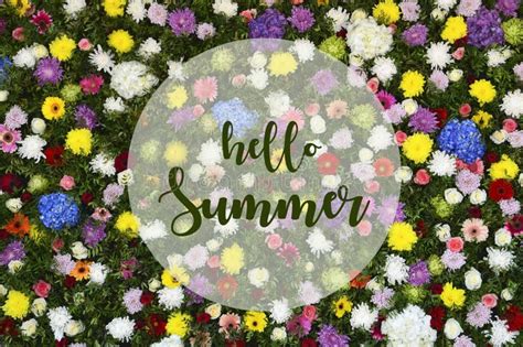 Hello June Welcoming Card With Text On A Summer Meadow Natural Floral