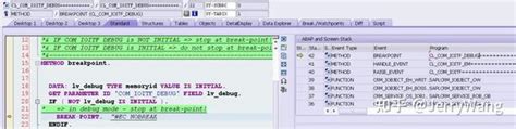 关于 Sap Abap 系统的 User Parameter Comioitfdebug 知乎