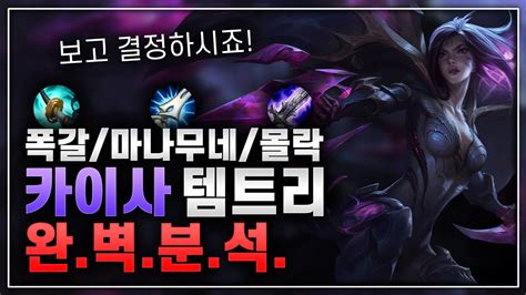 땅우양 카이사 3가지 템트리 직접 보고 결정해주세요 폭갈마나무네몰락 완벽 비교 분석 강의입니다 【카이사 템트리