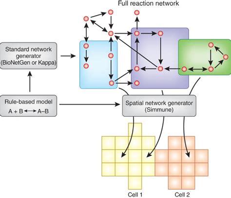 Modeling Cellular Signaling Taking Space Into The Computation Nature Methods