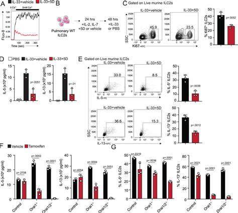 Pulmonary Ilc2 Effector Function Is Dependent On Orai1 And Orai2 A