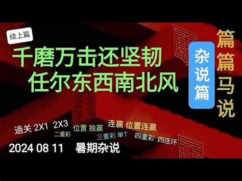 香港赛馬 篇篇马说 20240811 2 杂说篇千磨万击还坚劲任尔东西南北风 YouTube