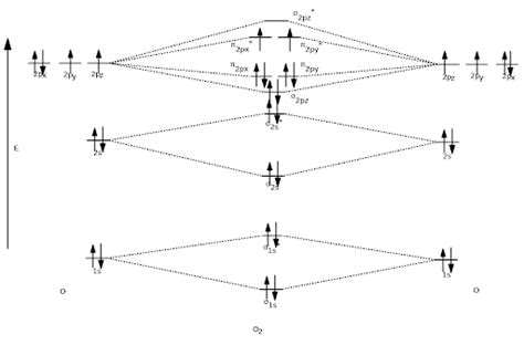 Are N2 And N2 Paramagnetic Or Diamagnetic Which One Has The Stronger
