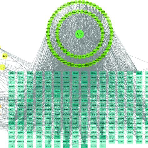 drug ingredient target network the circular nodes represent drugs the