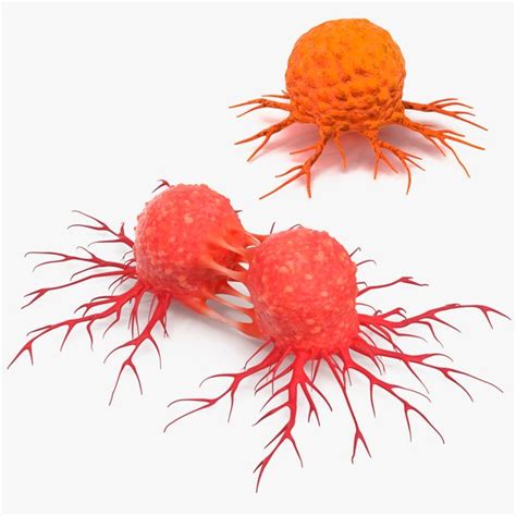 Sammlung Abnormaler Zellen 3d Modell Turbosquid 2298927