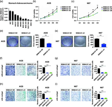 Sema3c Promoted Gastric Cancer Cell Proliferation Invasion And