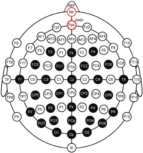Eeg Cap 10 20 System
