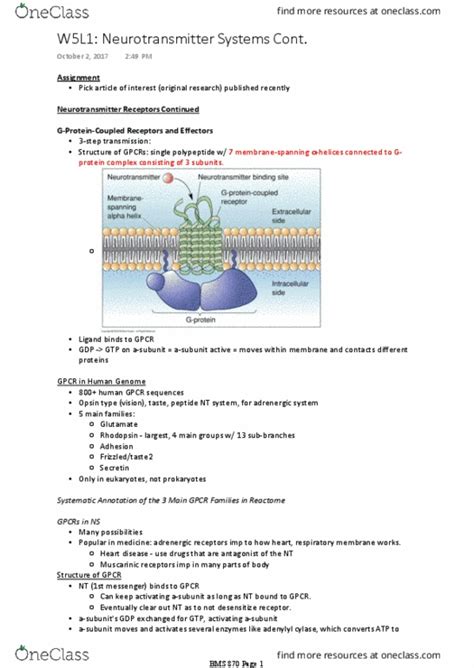 Bms 870 Lecture Notes Fall 2017 Lecture 6 Muscarinic Acetylcholine