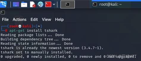 wireshark命令行工具tshark tshark和wireshark命令 csdn博客