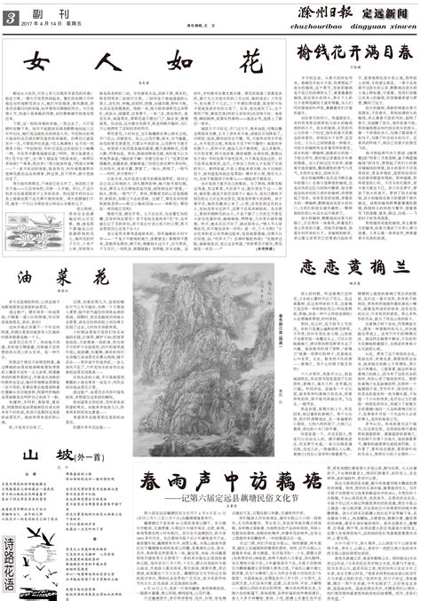 榆钱花开满目春 定远新闻