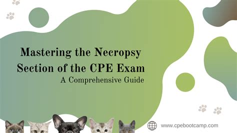 Mastering The Necropsy Section Of The Cpe Exam A Comprehensive Guide