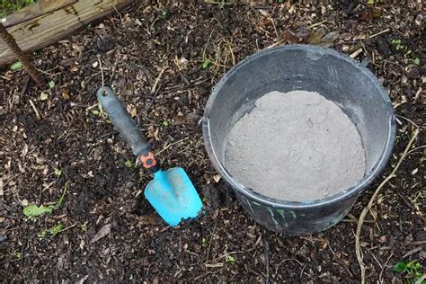 Bienfaits de la cendre de bois pour les plantes d intérieur