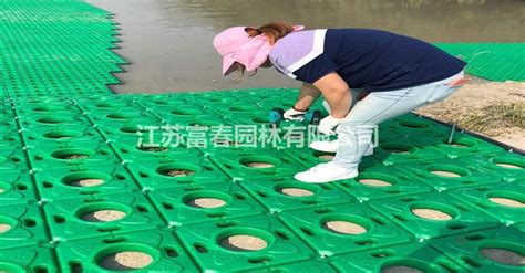 景观浮床 浮床生态工艺法 施工价格行情基地 种植厂家 产地报价单 江苏富春园林有限公司