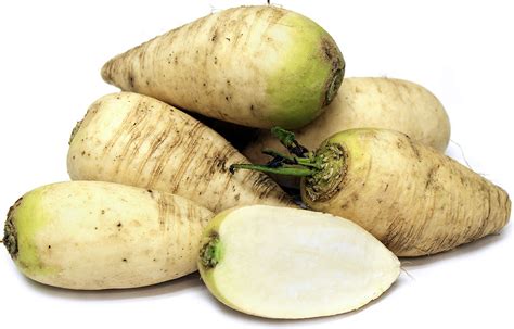 German Beer Radish Information, Recipes and Facts