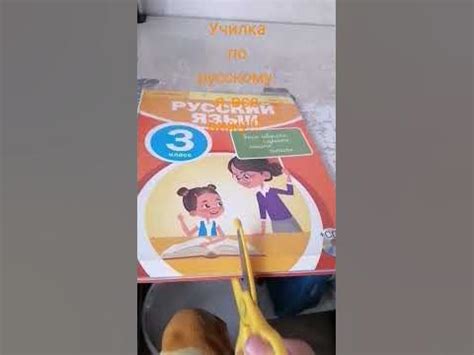 Жираф в очках?😂🕶🦒 - YouTube