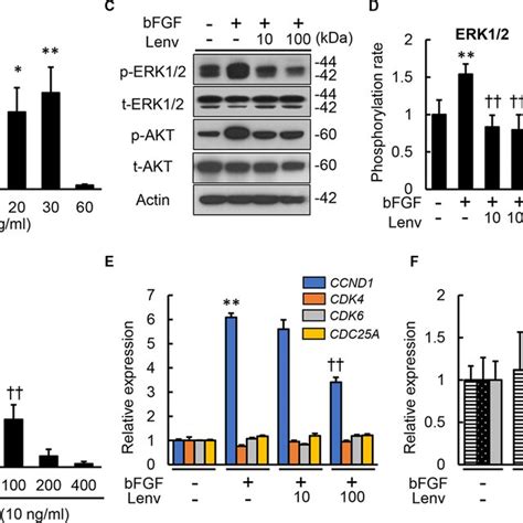 Effects Of Lenvatinib On In Vitro Pdgf Signalling Pathway In Lx‐2