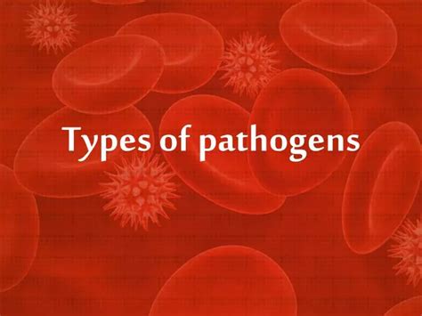 Ppt Types Of Pathogens Powerpoint Presentation Free Download Id