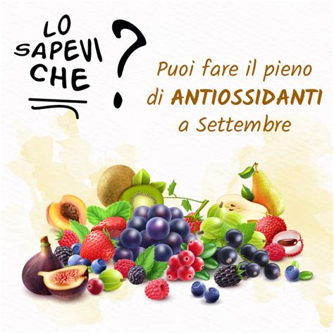 Il Pieno Di Antiossidanti A Settembre Elisirlife Blog E News Su