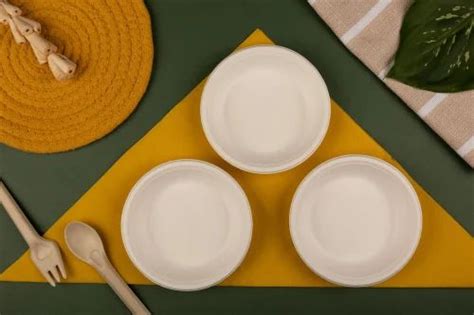 Biodegradable Sugarcane Bagasse Bowl Capacity 450ml At Best Price In
