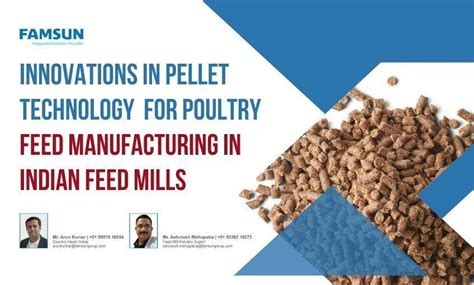 Innovations In Pellet Technology For Poultry Feed Manufacturing In