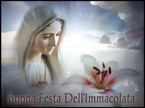 ᐅ Festa dell Immacolata Concezione Immagini e fotos gratis da