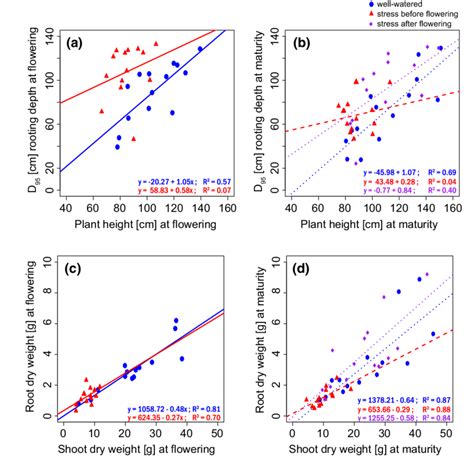 Relationship Between Rooting Depth D 95 And Plant Height At Both