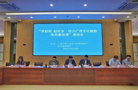 专家学者为广西旅游高质量发展建言献策tom旅游