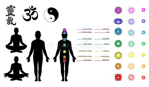 Reiki Chakras Yoga Symbols Stock Vector Illustration Of Energy