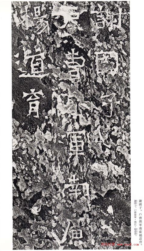 南朝书法拓本爨龙颜碑 第14页 墓志塔铭 书法欣赏