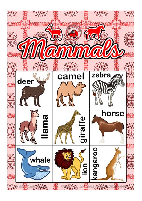 Mammals Bingo 3x3 100 Pages Call Sheet Made By Teachers