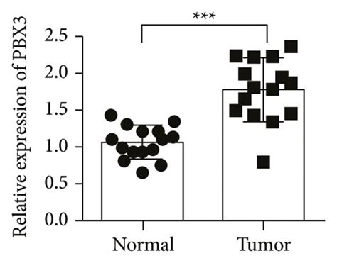 Mir 224 Inhibits Pbx3 Expression A Information Maps Of Mir 224 And