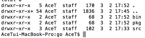 Golang Setting