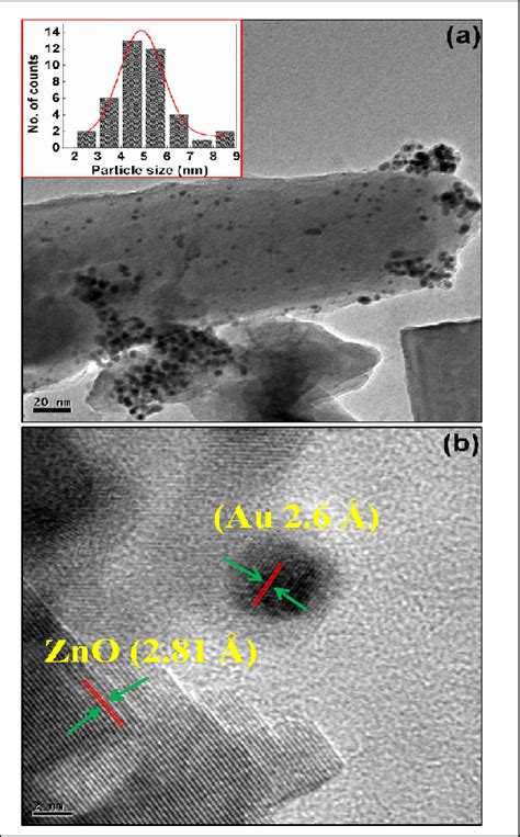 A Tem Image Of Au Decorated Zno Nanorods With Inset Showing The