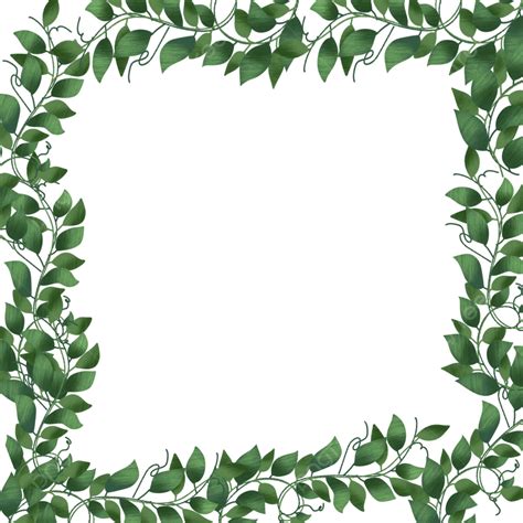 Hojas Hojas Borde Verde Png Hojas Hoja Verde Png Y Vector Para Hot