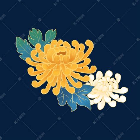 中国风菊花国潮素材图片免费下载 千库网