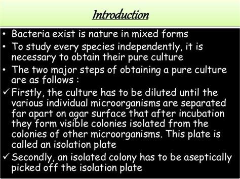 Pure Culture Isolation