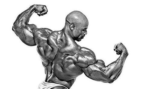 How To Build Muscle Mass •