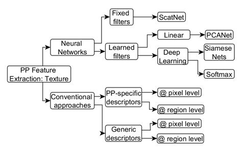 overview of palmprint feature extraction techniques download
