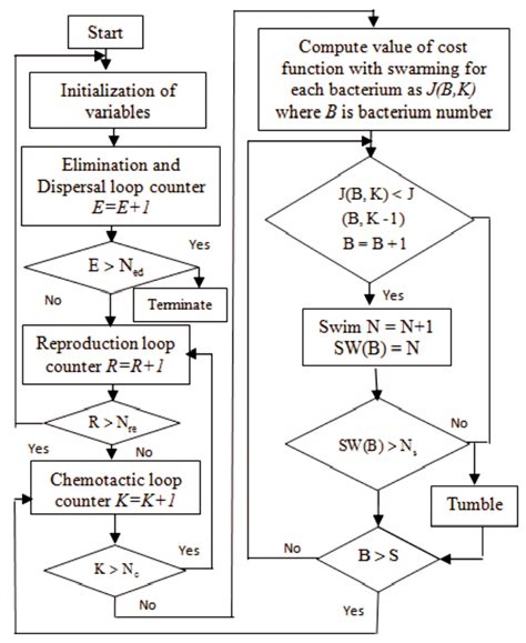 Flowchart Of Bfo Algorithm Download Scientific Diagram