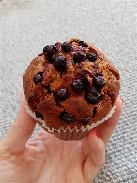 Muffin Sweet Cranberry Free Photo On Pixabay Pixabay